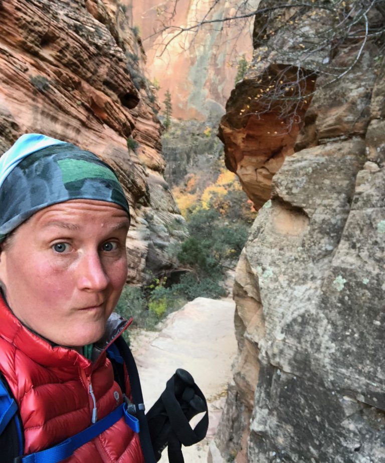 observation point. zion national park.(my last hurrah). – lidbom family ...