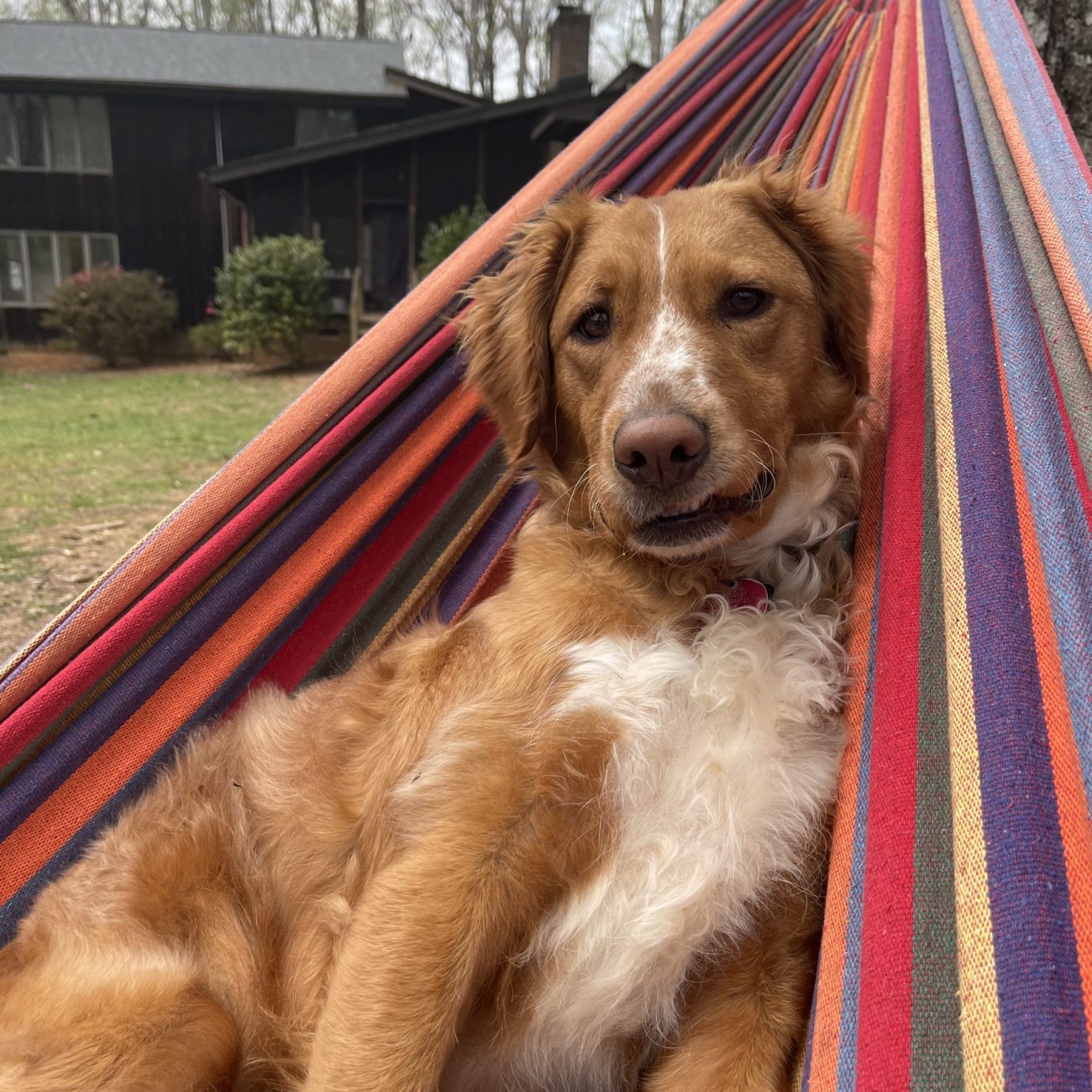 april generic stuff. 2021. – lidbom family life